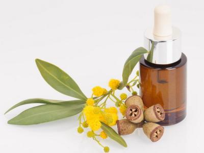China Highest Quality Therapeutic Grade Eucalyptus Oil,100% Pure and All-Natural Eucalyptus Essential Oil for sale