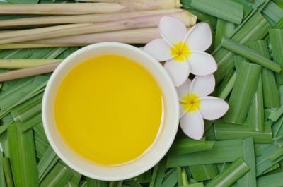 China Citronella Essential Oil (100% PURE & NATURAL - UNDILUTED) Therapeutic Grade for sale