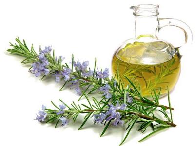 China Rosemary Oil for Hair Growth,100% pure rosemary oil Aroma,Rosmarinus officinalis Ingredients: for sale