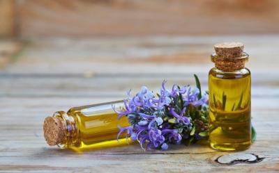 China Distilled Rosemary Essential Oil,NATRUE certified Natural Rosemary Conditioning Hair Oil for sale