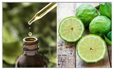 China natural essential bergamot oil from China, Citrus bergamia Essential oil for perfume for sale