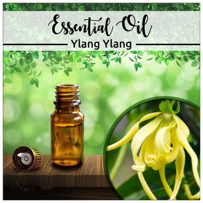 China ylang ylang extra essential oil,ylang ylang flower oil,ylang ylang fragrance oil for sale