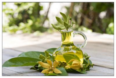 China aphrodisiac  and sensual cananga odorata (ylang ylang) oil,Aphrodisiac Ylang Ylang Fragrance Oil for sale