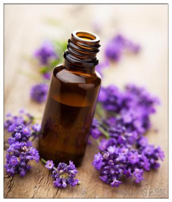 China Lavandula angustifolia oil, private labled lavender essential oil,pure lavender flower oil for sale