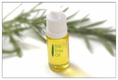 China tea tree oil bulk for Household cleaner,Tea Tree Oil for Acne,Tea Tree Oil for Psoriasis and Eczema for sale