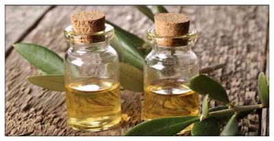 China Tea Tree Oil for Toenail Fungus and Ringworm,Tea Tree Oil Toothpaste for Oral Health for sale