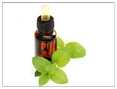 China Peppermint Oil for Mice Spray, pure therapeutic-grade peppermint essential oil for sale