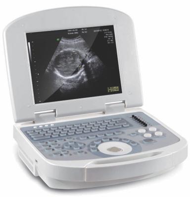 China Dolphi PRO Convex Probe Standard B/W Ultrasound Scanner Ce & ISO Approved for sale