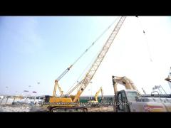 The key role of crawler cranes in petrochemical construction