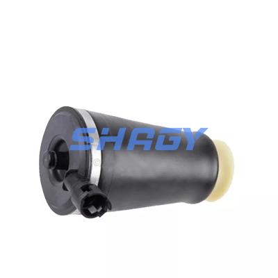 Cina Per Ford 3U2Z-5580-PA Air Spring posteriore in vendita