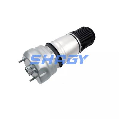 Cina Per Panamera nuovo disegno Fronte destra 97034305215 Air Spring in vendita