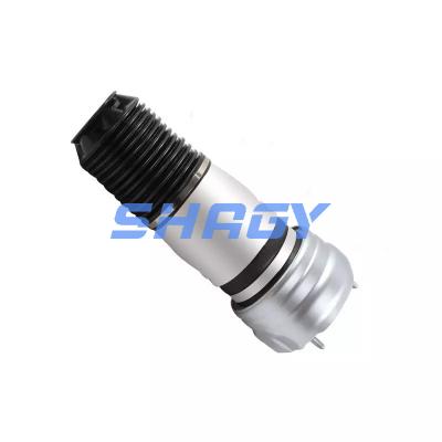Cina Per Panamera nuovo disegno Fronte destra 97034305215 Air Spring in vendita
