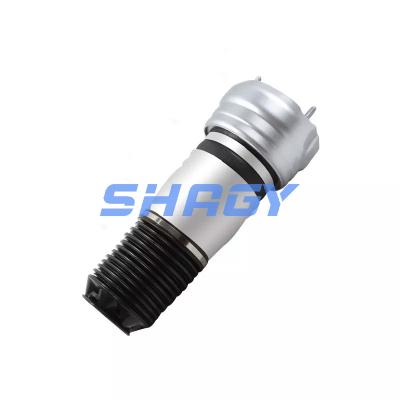 Cina Per Panamera nuovo disegno Fronte destra 97034305215 Air Spring in vendita