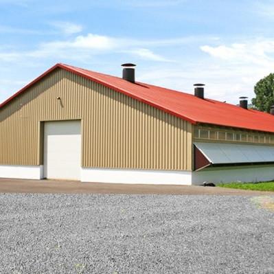 China Customized Modern Steel Structure Chicken House Layer Cage For Chickens Poultry Farm for sale