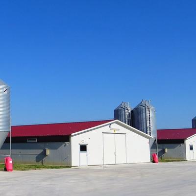 China Economical Light Steel House Construction Customized Steel Structure Shed Factory for sale