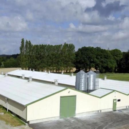Quality Automatic Prefab Steel Structure Chicken House Q235 Q345 Steel Frame Shed House for sale