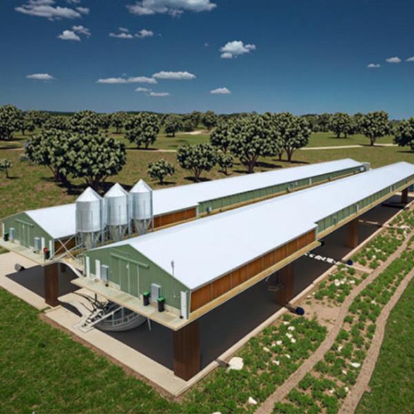 Quality Prefab Automatic Steel Structure Chicken House / Chicken Coop Steel Frame House for sale