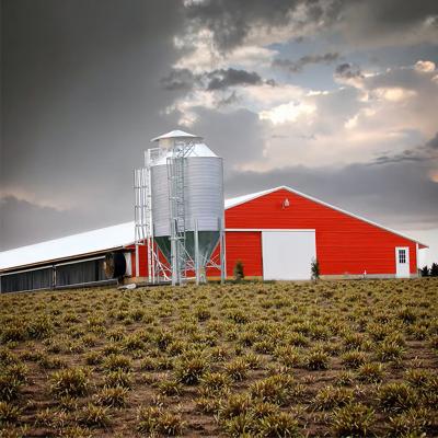 China Prefab Steel Structure Low Cost Commercial Chicken House Complete Poultry Farm Shed for Chicken Raising for sale