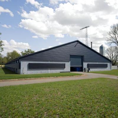 China Automatic Prefabricated Steel Structure Poultry Farm Building Shed Broiler Commercial Farming Chicken Houses for sale