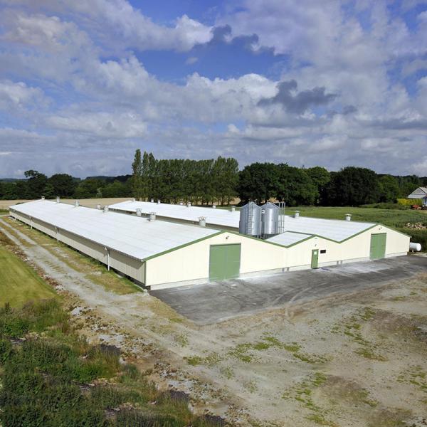 Quality Custom Modern Steel Frame House , High Strength Metal Chicken House for sale