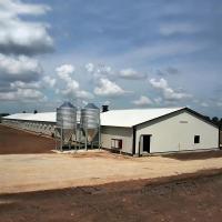 Quality Steel Structure Chicken House for sale