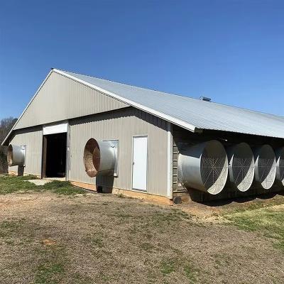 China Weather-Resistant Steel Structure Chicken House With Fast Install And Customized Size Prefab Container House for sale