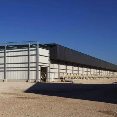 China Prefab Cow Shed With EPS Sandwich Panel Walls And Corrugated Steel Sheet Roof Featuring Polyurethane Foam Insulation for sale