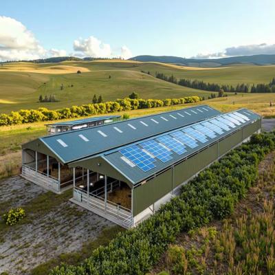 China Commercial Modular Steel Structure Cow Shed for sale