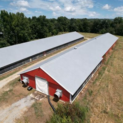 China Customized Steel Structure Poultry House Prefabricated Large Span Chicken house for sale