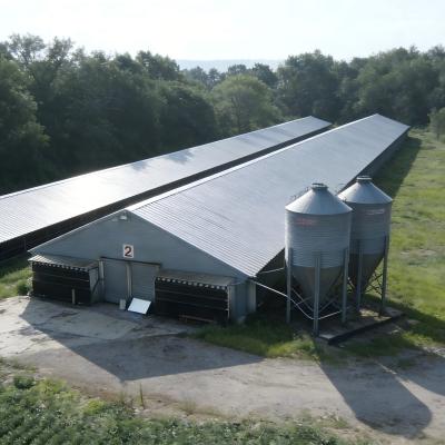 China Customized Steel Structure Cattle Barn Prefabricated Large-span Livestock Shed for sale