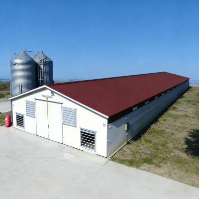 China Prefab Steel Frame Chicken House Custom Size for Large-scale Poultry Farms for sale