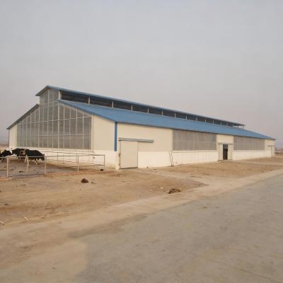 China Rust-resistant steel structure cow shed suitable for long-term outdoor livestock farming for sale