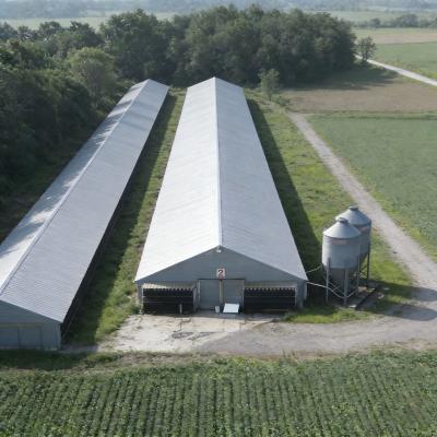 China Large Span Steel Structure Chicken House Customizable for Poultry Farming Layer Breeding Connected Barn Custom for sale