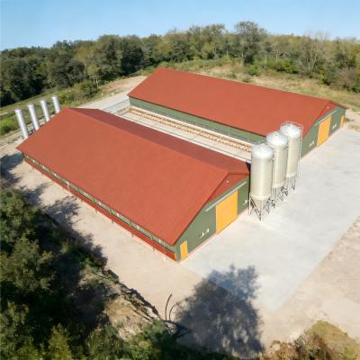 China Economical Steel Structure Chicken House Prefabricated Livestock Shed Hot-Dip Galvanized for sale