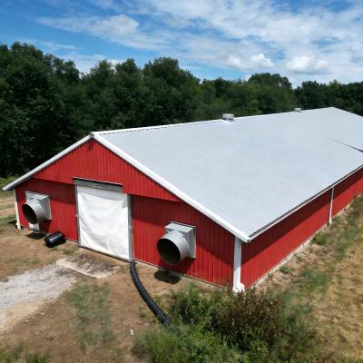 China Fast Assemble Steel Structure Chicken House Economical Prefab Poultry Shed Column-Free for sale