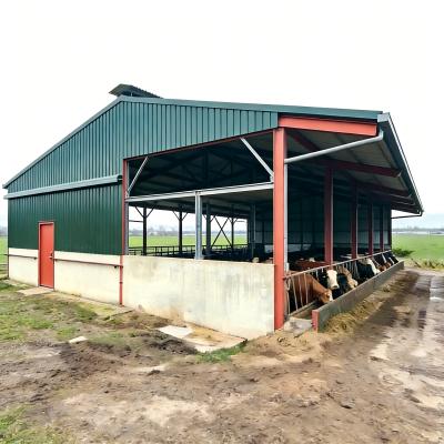 China Fireproof Anti-Corrosion Steel Structure Cattle Barn for Livestock Farm Hot-Dip Galvanized for sale