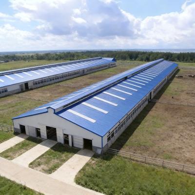 China Customizable Multi-Bay Steel Structure Cow Barn for Commercial Ranch Thermal Insulation for sale