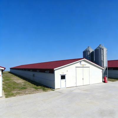 China Anti-Corrosion Galvanized Fast Assemble Steel Structure Chicken House Economical Prefab Poultry Shed for sale