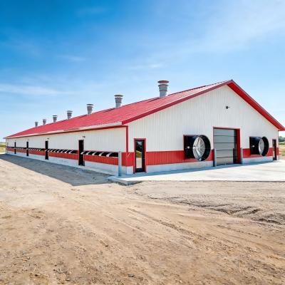 China Large Span Thermal Insulation Fast Assemble Steel Structure Chicken House Economical Prefab Poultry Shed Layer Breeding for sale