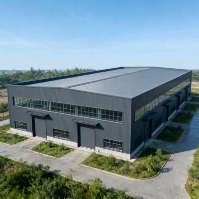China Storage Customization Prefab Steel Frame Warehouse Easy Installation for Small & Medium Businesses Multi-layer Steel Warehouse for sale