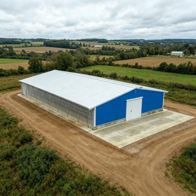 China Steel Structure Layer House Customized for Egg Chicken Breeding Fast Installation for sale