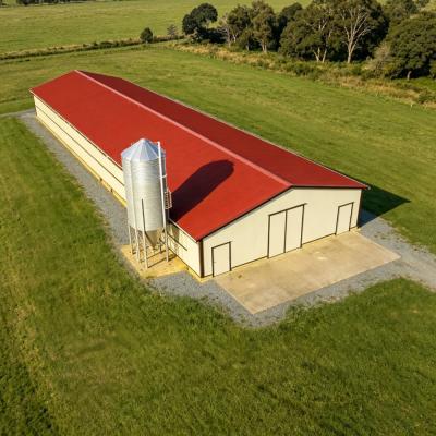 China Hot-Dip Galvanized Steel Chicken House Cost-effective Solution for Quick Poultry Farm Construction for sale