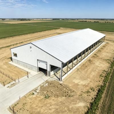 China Large Span Fireproof Anti-Corrosion Steel Structure Cattle Barn for Livestock Farm for sale