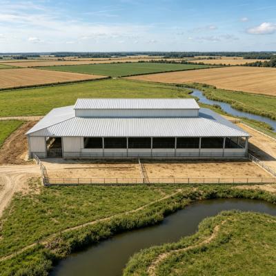 China Prefab Steel Structure Cow House for Livestock Breeding Farm Column-Free Ranch Cattle Barn for sale
