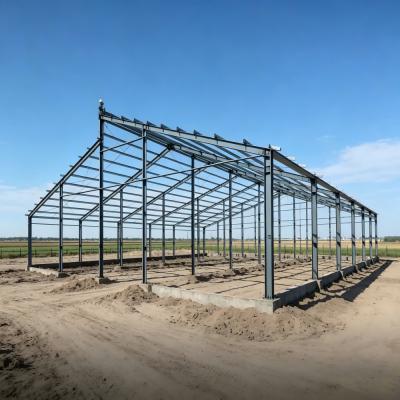 China Steel Cow Shed Customized Steel Structure Cattle Shed Prefabricated Large Span Cow Barn Ranch Cattle Barn for sale
