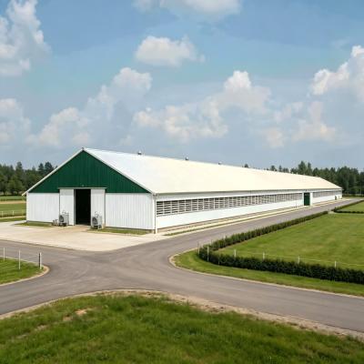 China Economical Light Weight Steel Poultry Shed Building Construction for Quick DIY Farm Construction Broiler Layer Farm Shed for sale