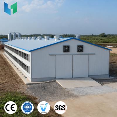 China Steel Frame Layer Chicken House Poultry Shed with Multi Tier Cage System and Environment Control for Egg Production for sale