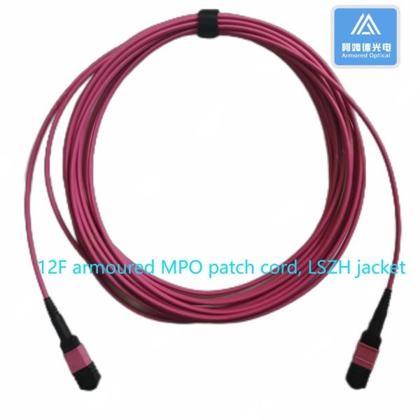 Quality 12F Armored MPO Patch Cord 5m 3.0mm LSZH 12 Core Fiber Optic Cable for sale