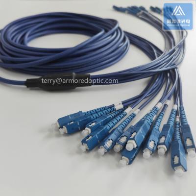 Cina 12 nuclei SM Acciaio inossidabile Cable blindato SC-SC-20m Blu PVC 6.0mm in vendita