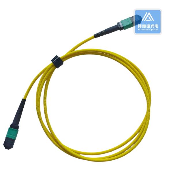 Quality 8 Cores 12 Cores MPO Patch Cord with PET braiding for sale